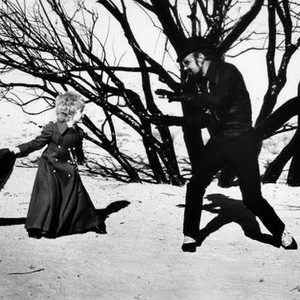 Steven Warner - Rotten Tomatoes