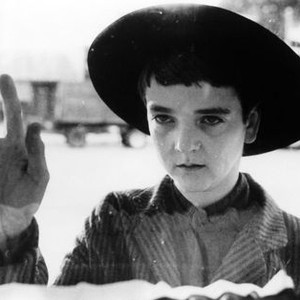 John Franklin - Rotten Tomatoes