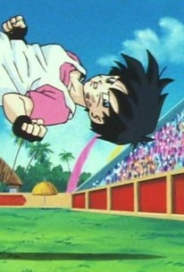 Dragon Ball Z: Season 7, Episode 216 | Rotten Tomatoes