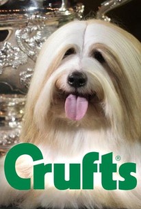 Crufts Dog Show | Rotten Tomatoes