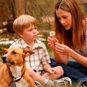 Like Dandelion Dust - Rotten Tomatoes