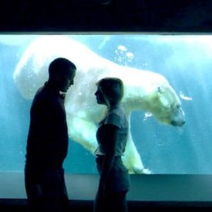 Jason Cottle - Rotten Tomatoes