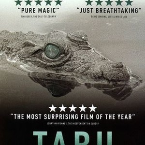 Tabu (2012) - Rotten Tomatoes