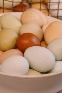 Martha Cooks: Season 1, Episode 3 | Rotten Tomatoes