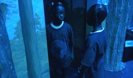 Us - Rotten Tomatoes