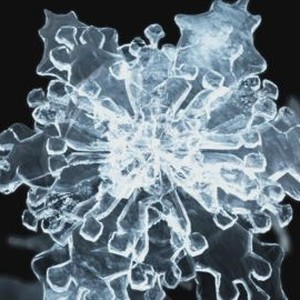 The Secret of Water - Rotten Tomatoes