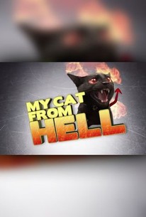 My Cat From Hell: Season 5 | Rotten Tomatoes