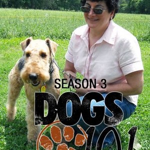 Dogs 101: Season 3, Episode 5 - Rotten Tomatoes