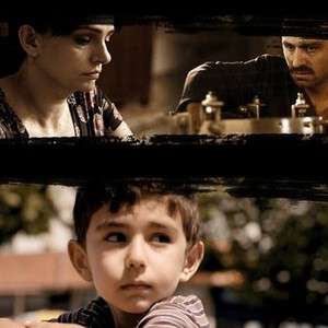 Can - Rotten Tomatoes