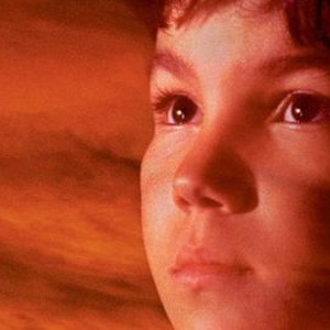 The Education of Little Tree - Rotten Tomatoes