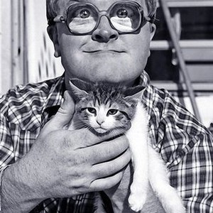 One Last Shot - Rotten Tomatoes