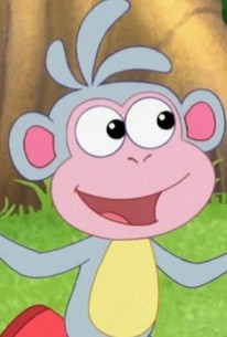 Dora the Explorer: Season 5, Episode 7 | Rotten Tomatoes