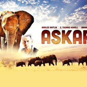 Askari (2001) - Rotten Tomatoes