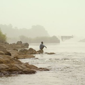 The Dam - Rotten Tomatoes