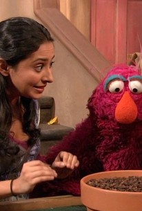 Sesame Street: Season 40, Episode 25 | Rotten Tomatoes