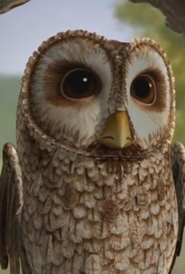 Peter Rabbit: Season 1, Episode 10 | Rotten Tomatoes