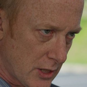 Algorithm: Bliss - Rotten Tomatoes