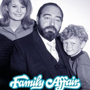 Family Affair: Season 5, Episode 15 - Rotten Tomatoes