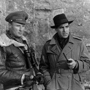 Anthony Bushell - Rotten Tomatoes