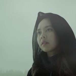 The Protector - Rotten Tomatoes