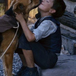 Miracle Maker - Rotten Tomatoes