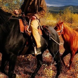 The Last Trapper - Rotten Tomatoes