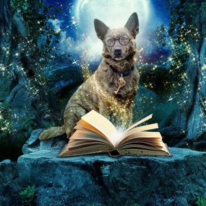 The Amazing Wizard of Paws - Rotten Tomatoes