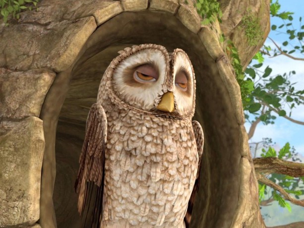 owl from peter rabbit