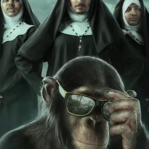 Gorilla - Rotten Tomatoes