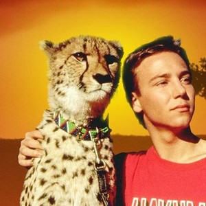 Cheetah - Rotten Tomatoes