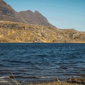 Edie - Rotten Tomatoes