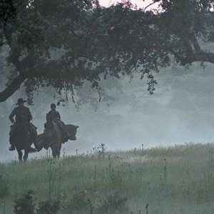 Among Wolves (2010) - Rotten Tomatoes