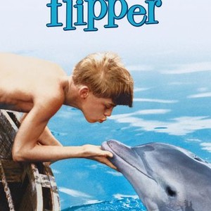 Flipper - Rotten Tomatoes