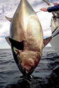 Catching Monsters: Season 1, Episode 3 | Rotten Tomatoes