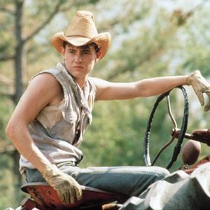 Jason London - Rotten Tomatoes