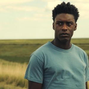 The Last Tree - Rotten Tomatoes