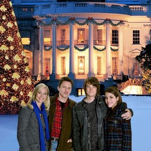 The National Tree - Rotten Tomatoes