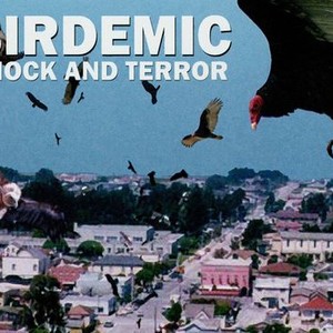 Birdemic: Shock and Terror - Rotten Tomatoes