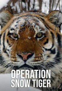 Operation Snow Tiger | Rotten Tomatoes