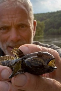 Jeremy Wade's Mighty Rivers: Season 1, Episode 3 | Rotten Tomatoes