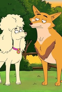 HouseBroken: Season 1, Episode 8 - Rotten Tomatoes