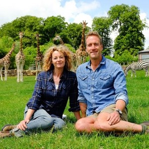 Animal Park - Rotten Tomatoes