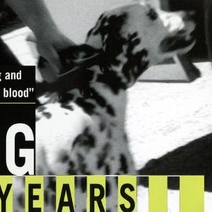 Dog Years - Rotten Tomatoes