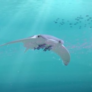 Octonauts: Season 2, Episode 10 - Rotten Tomatoes