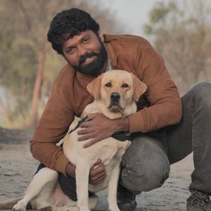 777 Charlie - Rotten Tomatoes