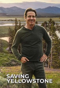 Saving Yellowstone | Rotten Tomatoes