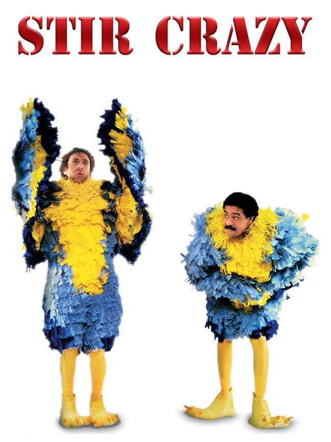 Stir Crazy Movie Poster