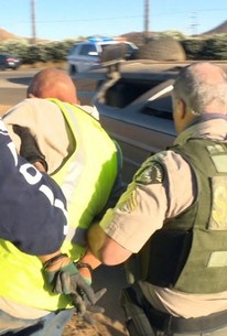 Cops: Season 33, Episode 32 | Rotten Tomatoes