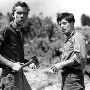 Skip Homeier - Rotten Tomatoes