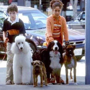 Good Boy! - Rotten Tomatoes